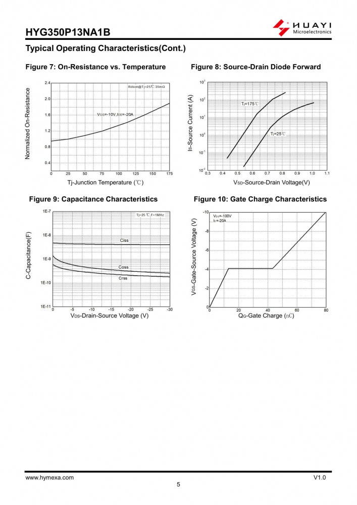 HYG350P13NA1B datasheet page 5