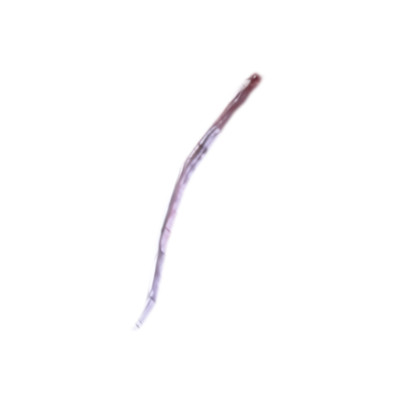 KYET KP155J2J2502 Film Capacitor