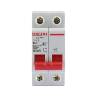 Delixi Electric DZ47G 2P 32A Disconnect Switch Component