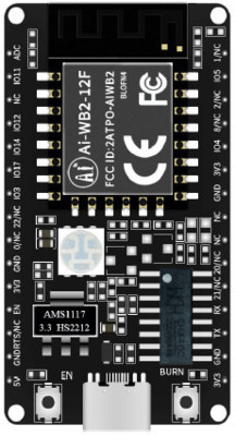 WI-FI & BLUETOOTH WB2 DEVELOPMENT BOARD, DIP PACKAGE -