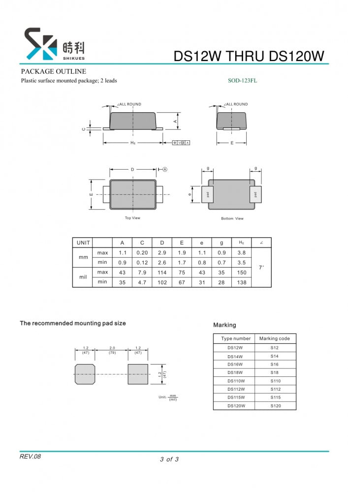 DS12W datasheet page 3