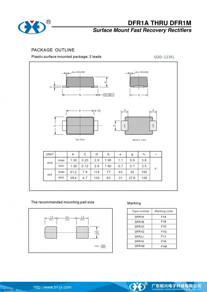 DFR1M datasheet page 3