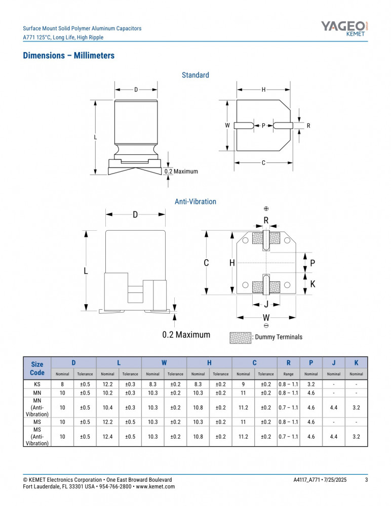 KEMET A771 datasheet page 3