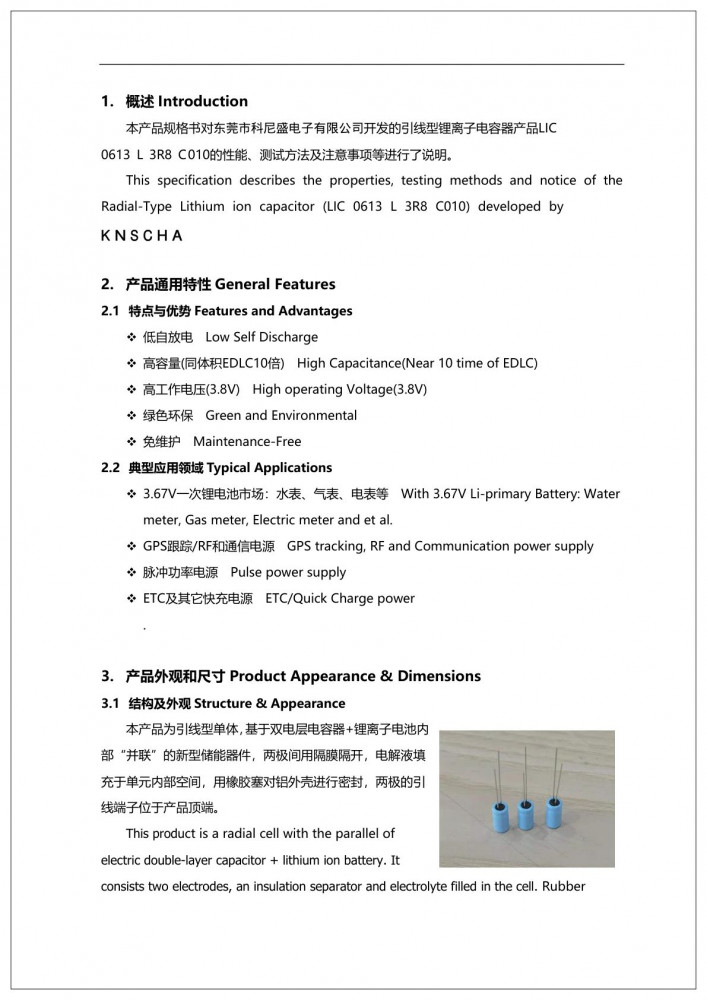 LIC0613L3R8C010 specification page 4