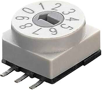 E-Switch RDTAR10S1R DIP Switch for sale