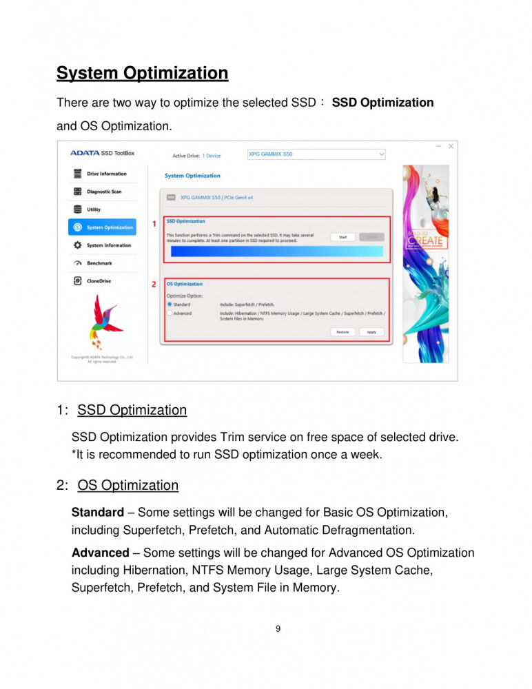 Document page 10