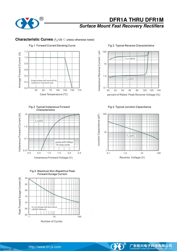 DFR1M F7 datasheet page 2