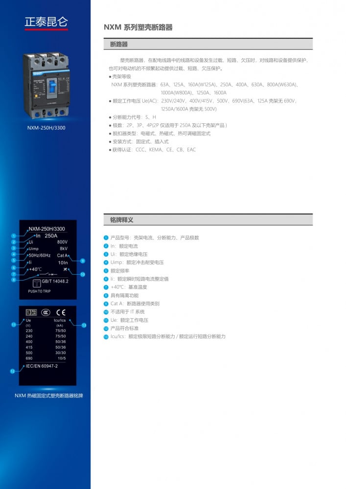 CHINT NXM technical document page 3