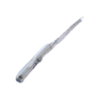 Amphenol AT60-215-16141 for sale