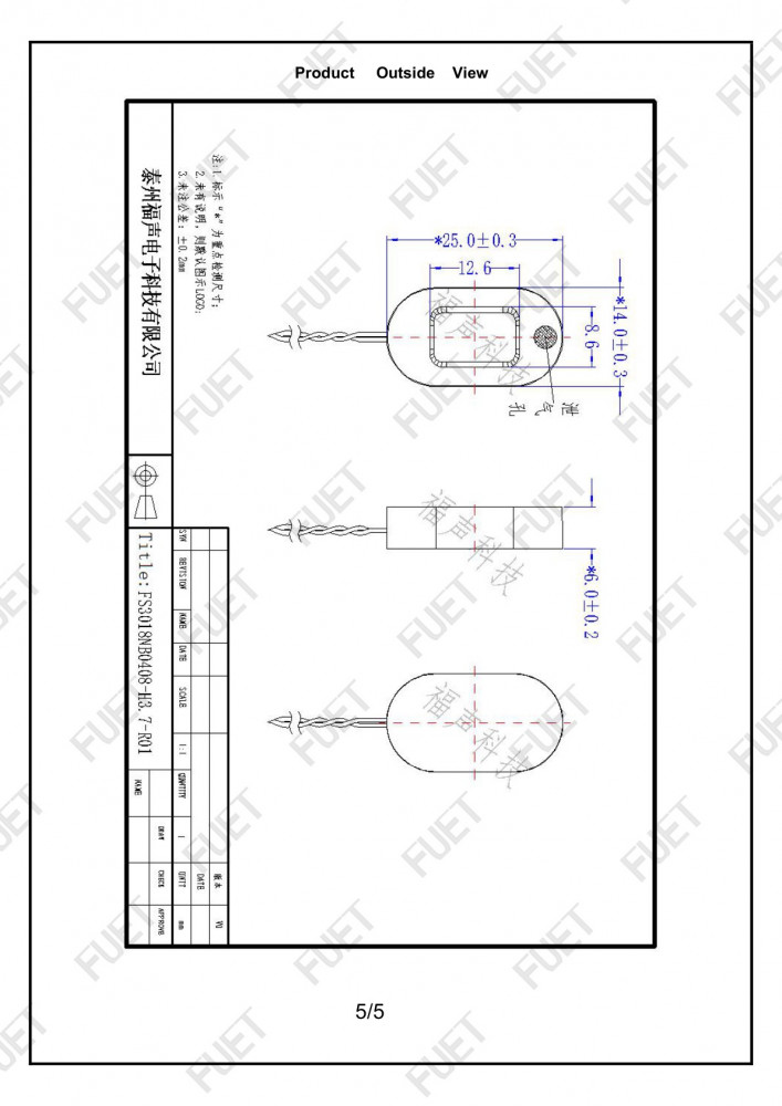 FUET FS2514NB0808-H6.0-R01 drawing page 6