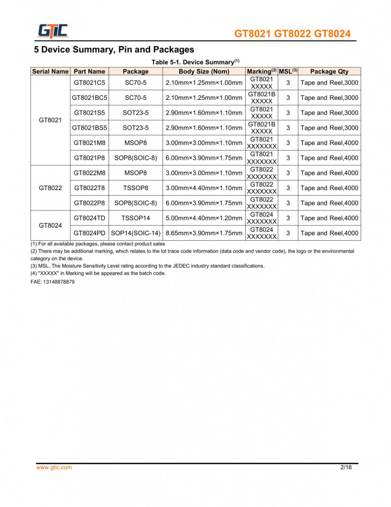 GT8021C5 datasheet page 3