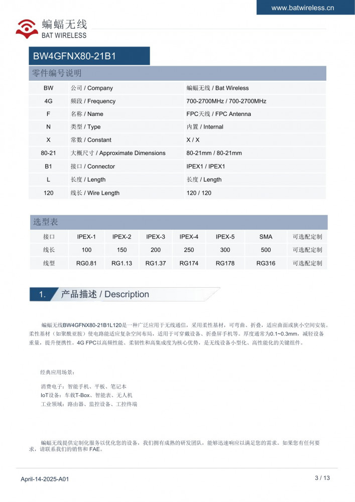 BW4GFNX80-21B1 datasheet page 3