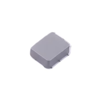 Linepri LMSC2520101R0MTA Fixed Inductor