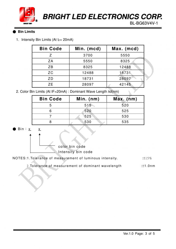 BL-BG63V4V-1 datasheet page 3