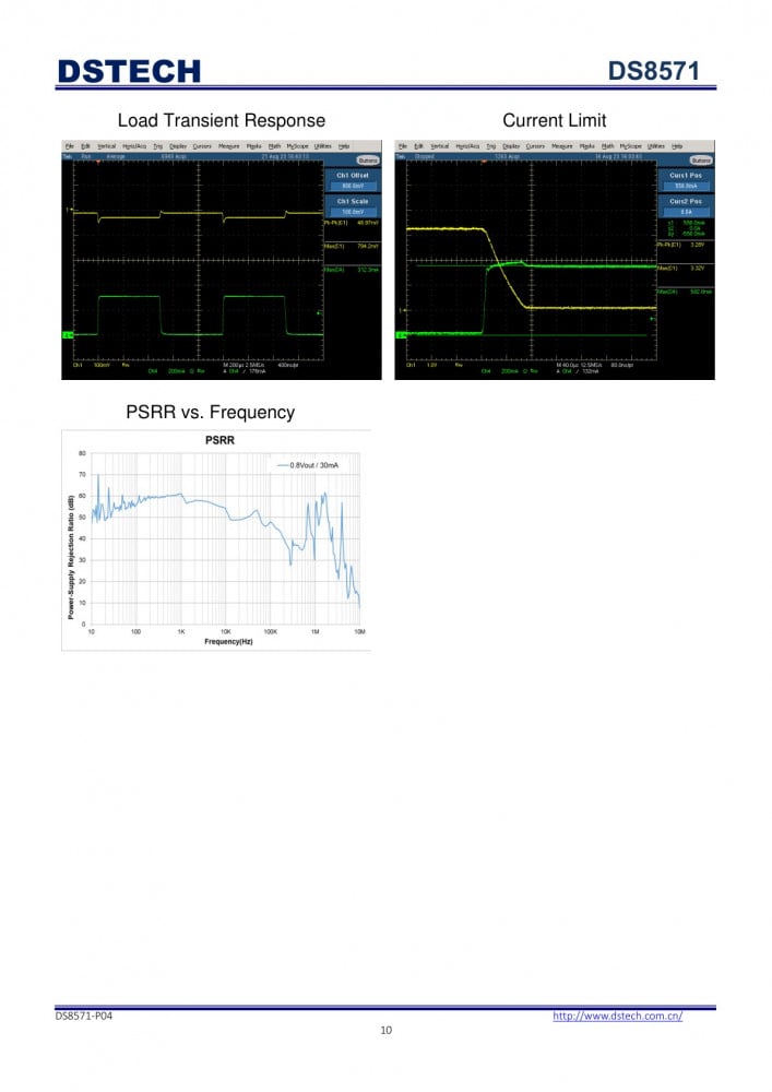 DS8571 datasheet page 10