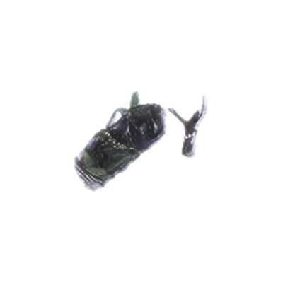Mingda Microelectronics MD6127C50 Supervisor Chip