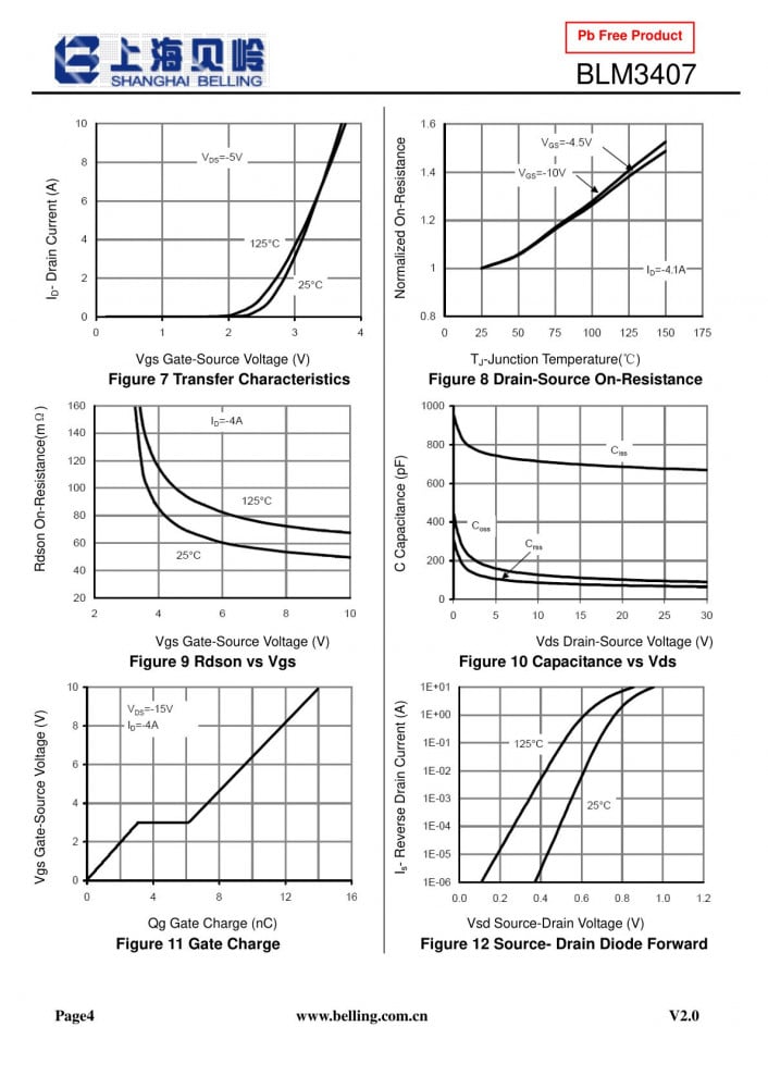 BLM3407 datasheet page 4