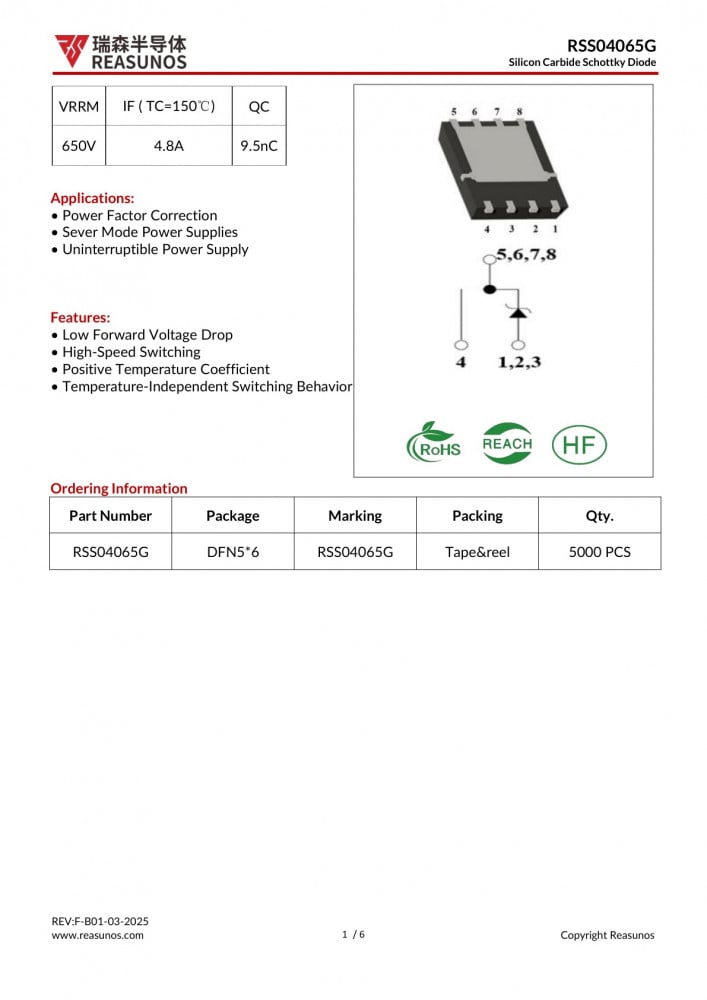 RSS04065G datasheet page 1