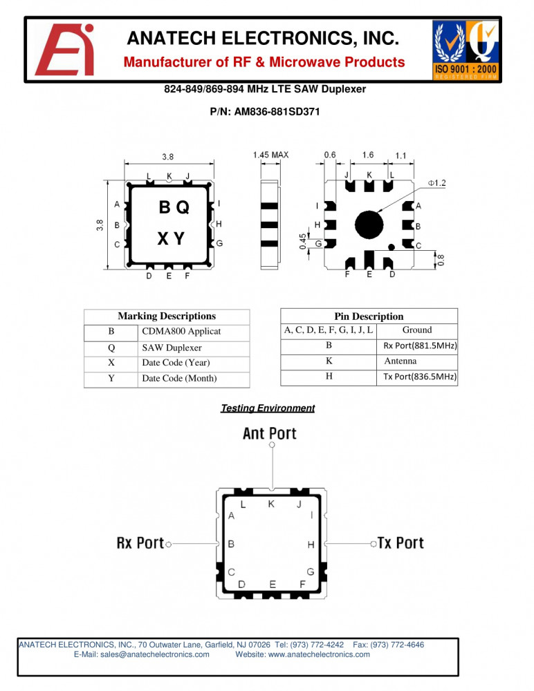 AM836-881SD371 datasheet page 2